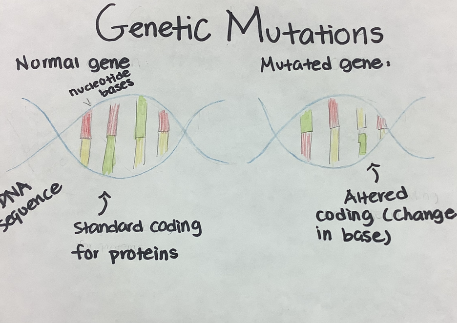 The amazing genetic mutations | Plaid Line + PRIZM + Scottie News ...